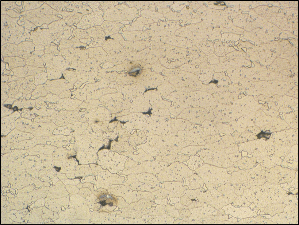 Creep | Failure Mechanism | SureScreen Materials