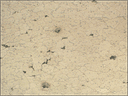 Creep | Failure Mechanism | SureScreen Materials