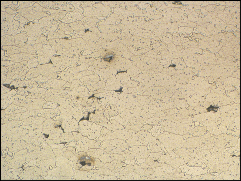 Creep | Failure Mechanism | SureScreen Materials