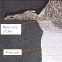 Crevice Corrosion | Failure Mechanism | SureScreen Materials
