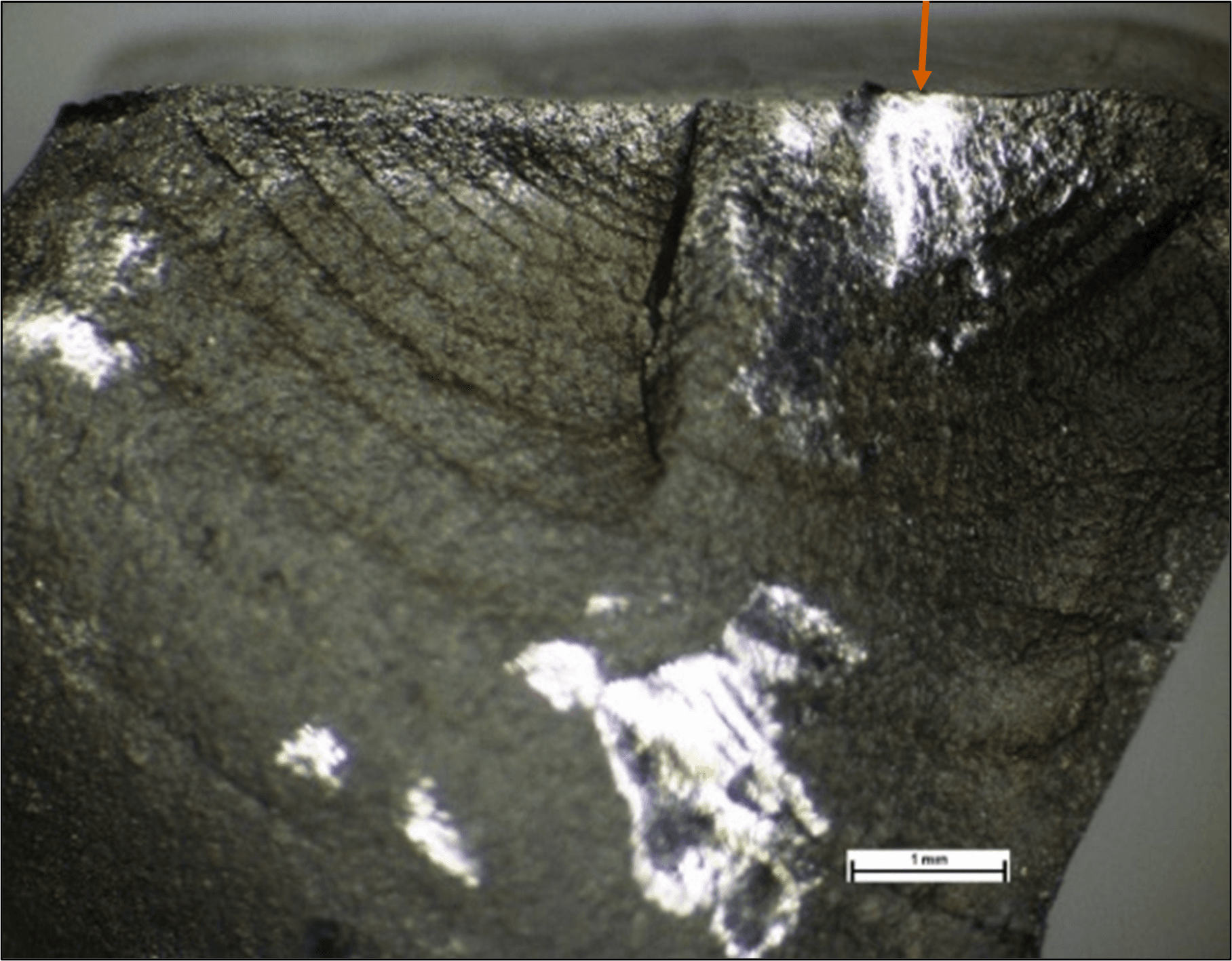 Impact and Impact-Fatigue | Failure Mechanism | SureScreen Materials