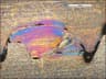 Adhesion Wear, Abrasion Wear, Galling | SureScreen Materials